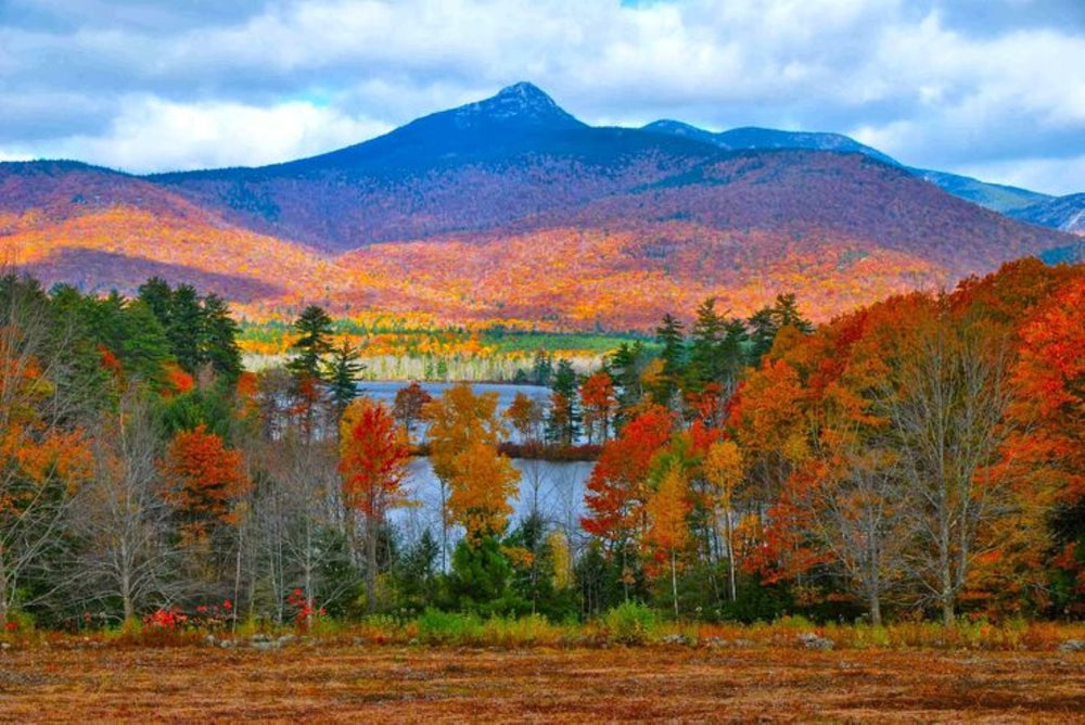 Massachusetts Boston Mission – Mission Wishlist